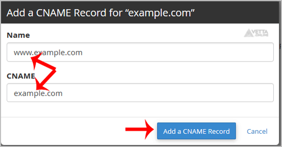 Vetta Group - How to add CNAME Record in cPanel using the DNS Zone Editor?